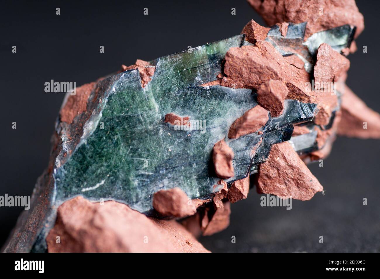 Fossil cluster hi-res stock photography and images - Alamy