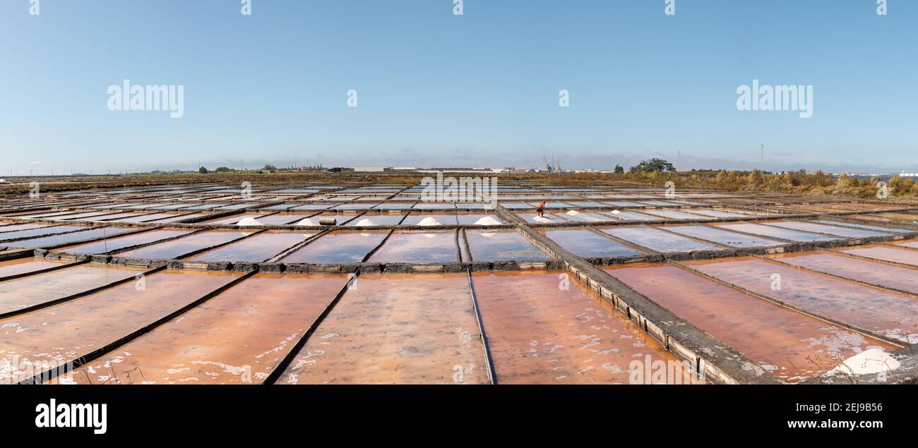 Rake types hi-res stock photography and images - Alamy