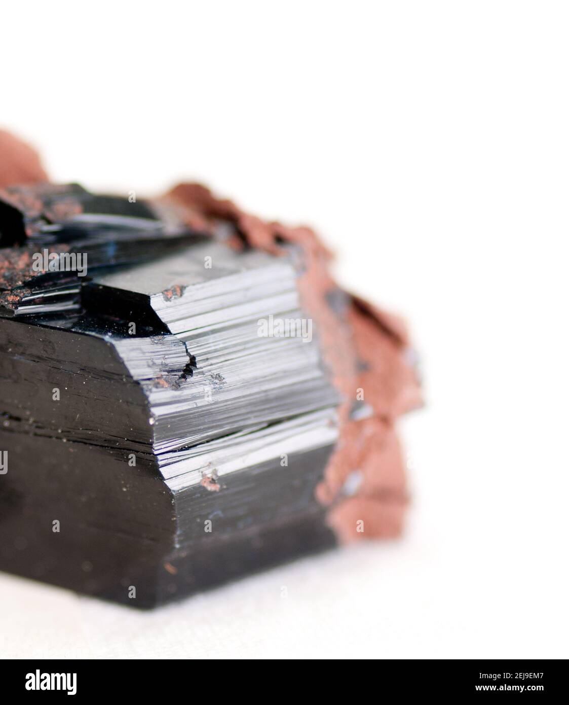 Gemmy hi-res stock photography and images - Alamy