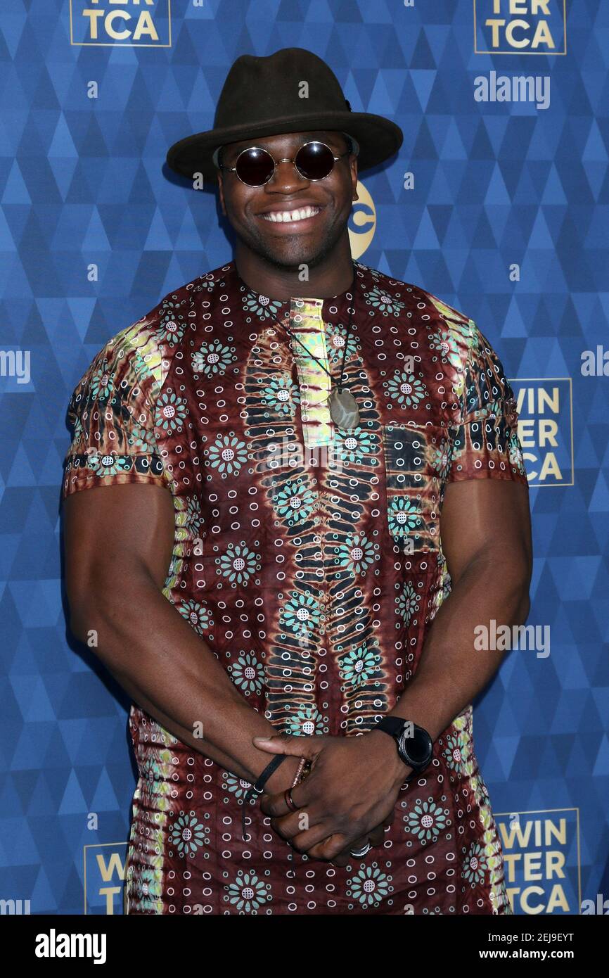 LOS ANGELES - JAN 8: Diedrich Bader at the ABC Winter TCA Party ...