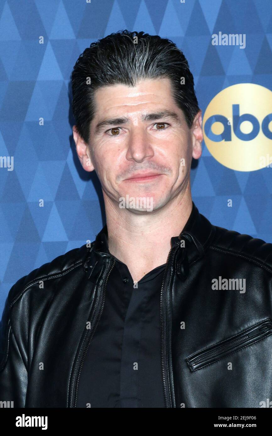 LOS ANGELES - JAN 8: Michael Fishman at the ABC Winter TCA Party ...