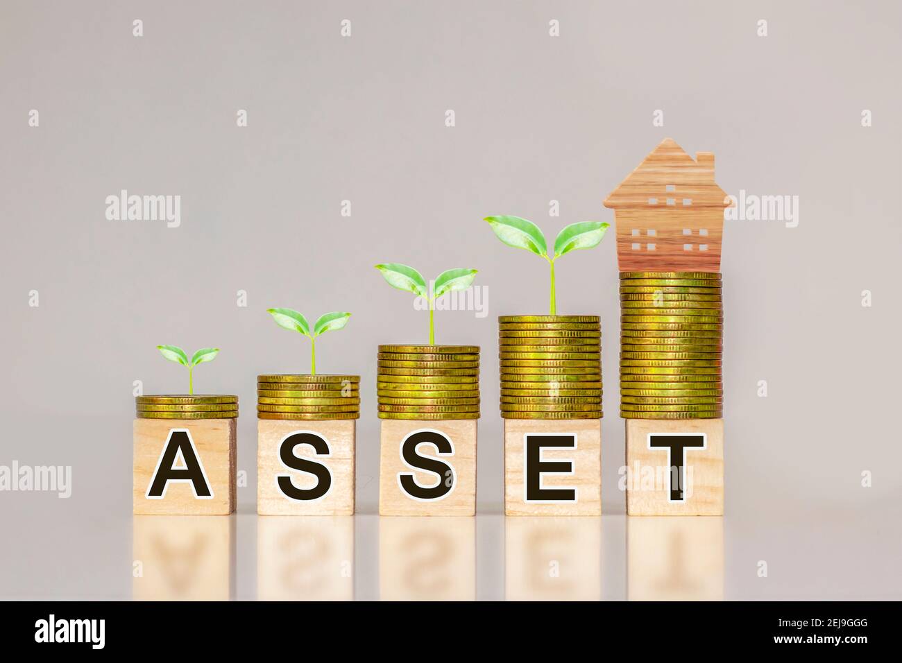 Trees and wooden houses planted on coin piles and wooden blocks labeled ...