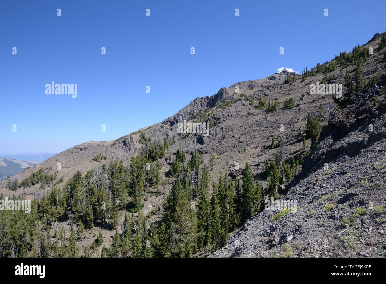Mt Washburn trail in Yellowstone National Park, Wyoming, USA Stock ...