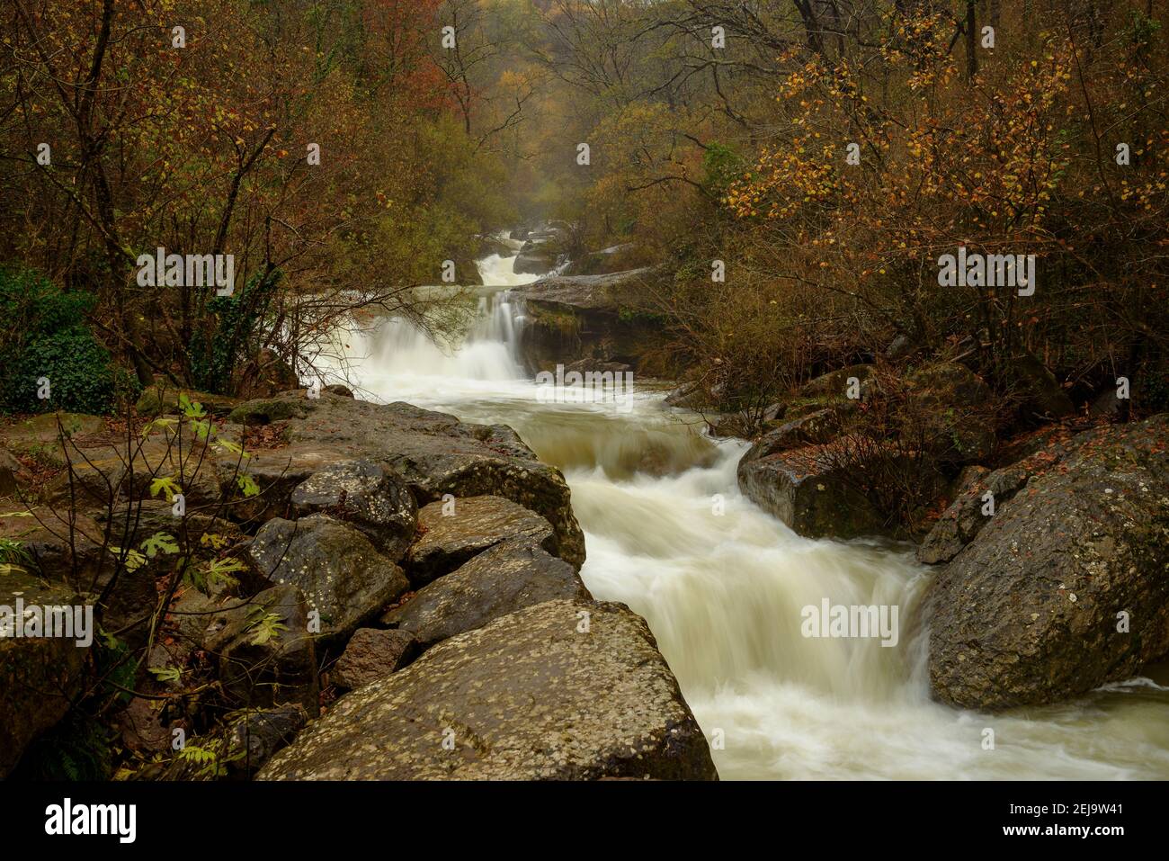 Els pins hi-res stock photography and images - Alamy