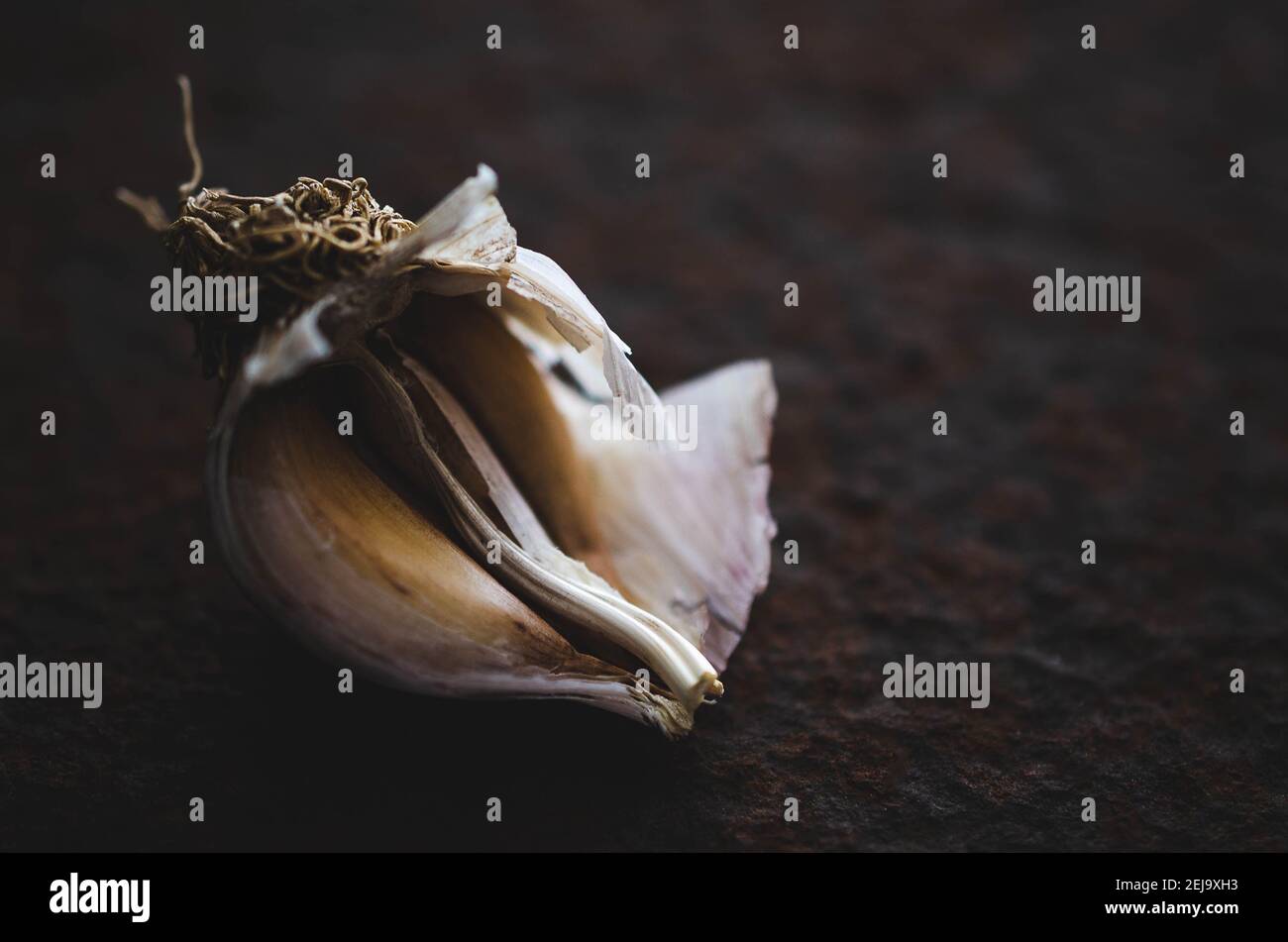 Half bulb hi-res stock photography and images - Alamy