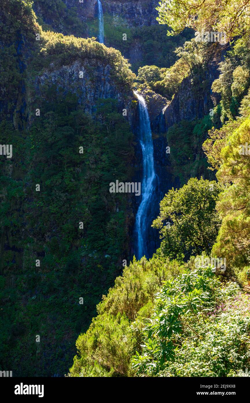 Risco Waterfall - Hiking on Levada trail 25 Fontes in Laurel forest at ...