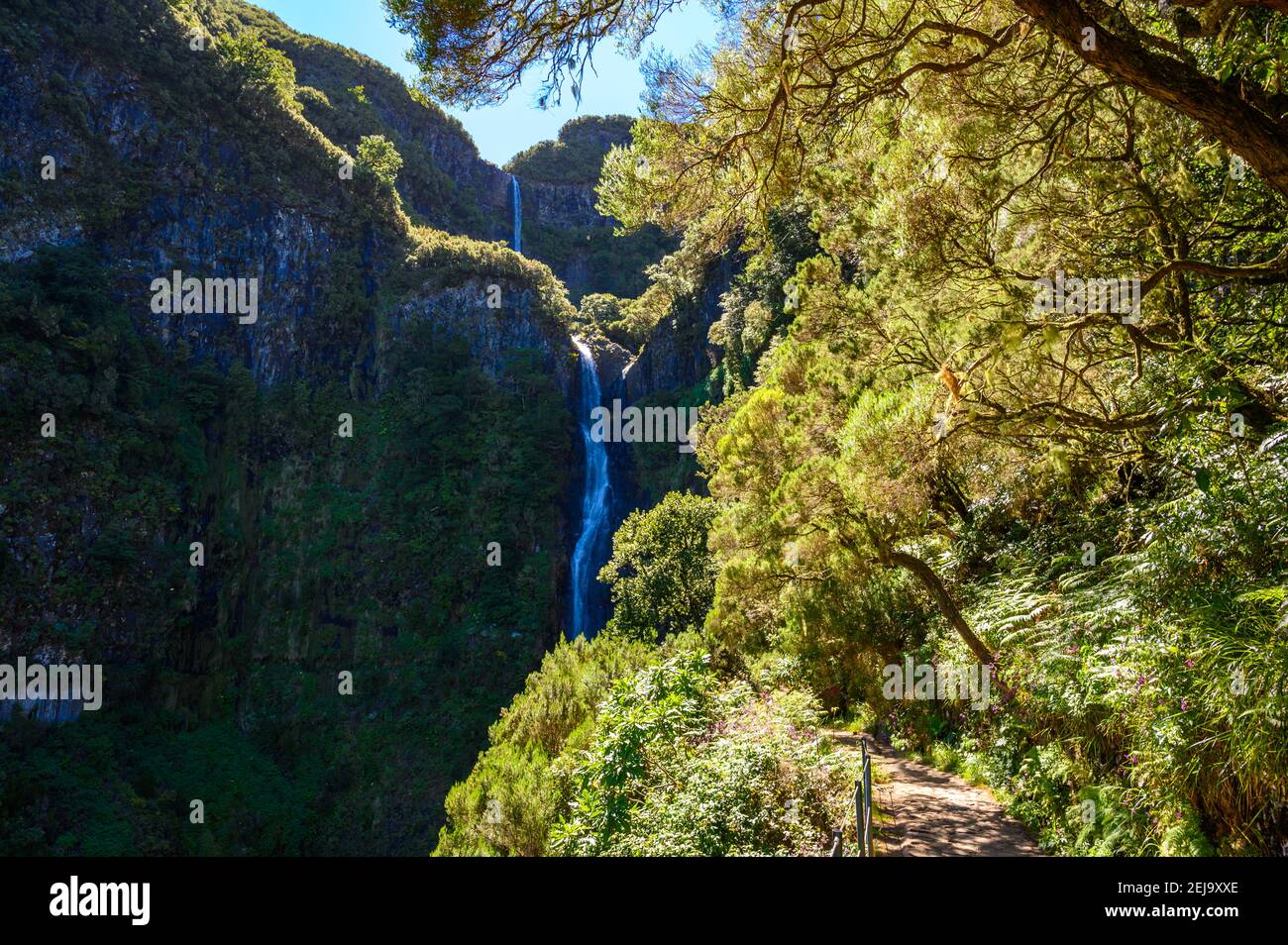 Risco Waterfall - Hiking on Levada trail 25 Fontes in Laurel forest at ...