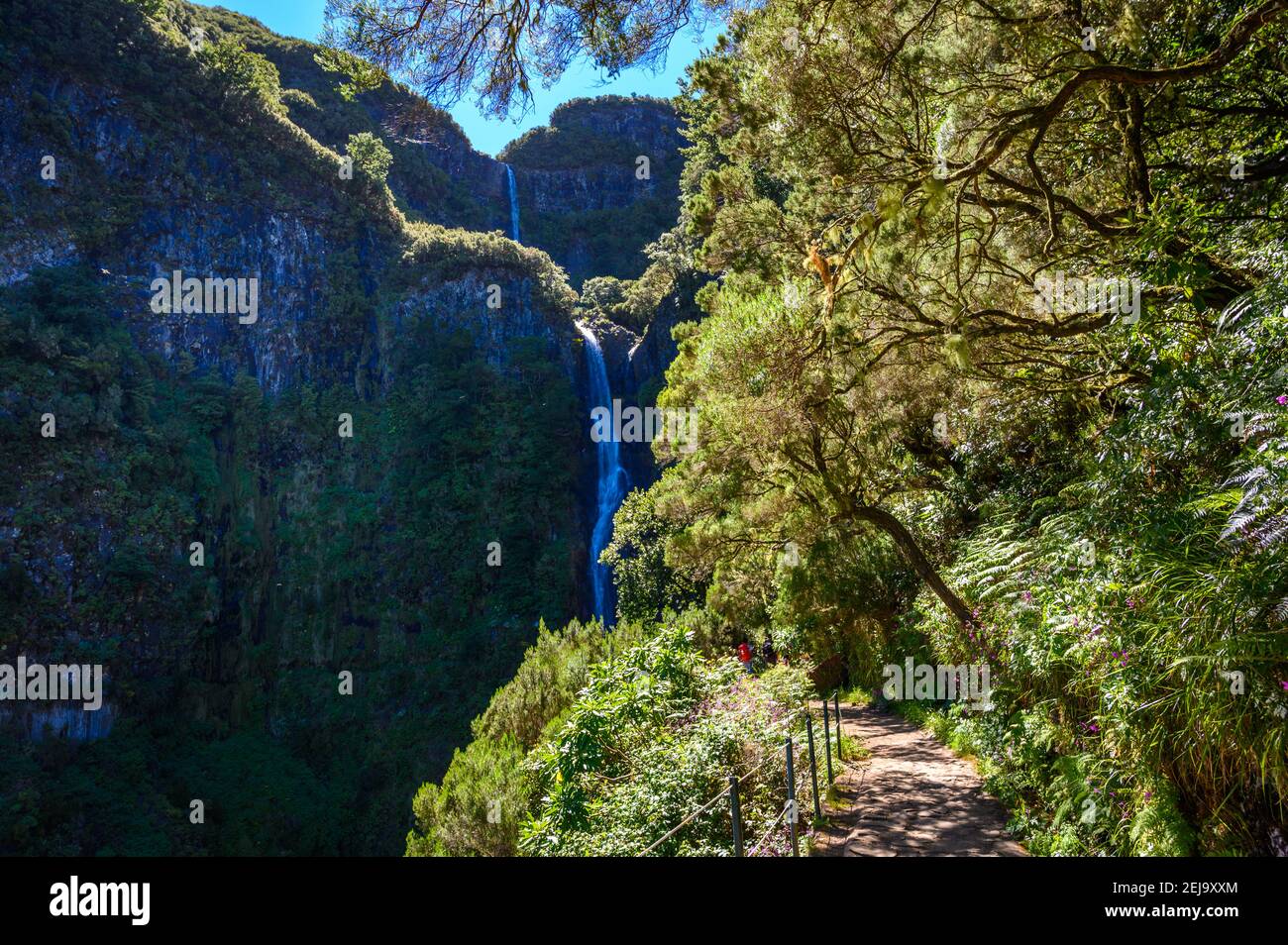 Risco Waterfall - Hiking on Levada trail 25 Fontes in Laurel forest at ...