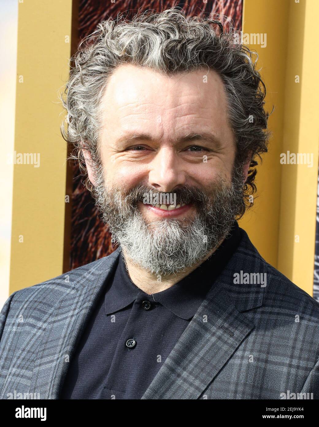WESTWOOD, LOS ANGELES, CALIFORNIA, USA - JANUARY 11: Michael Sheen ...