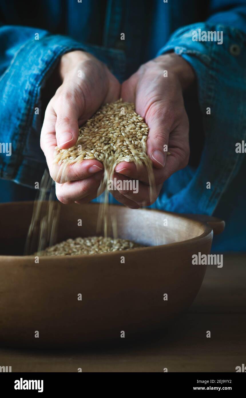 Hands throwing Yamani rice into a bowl Stock Photo - Alamy
