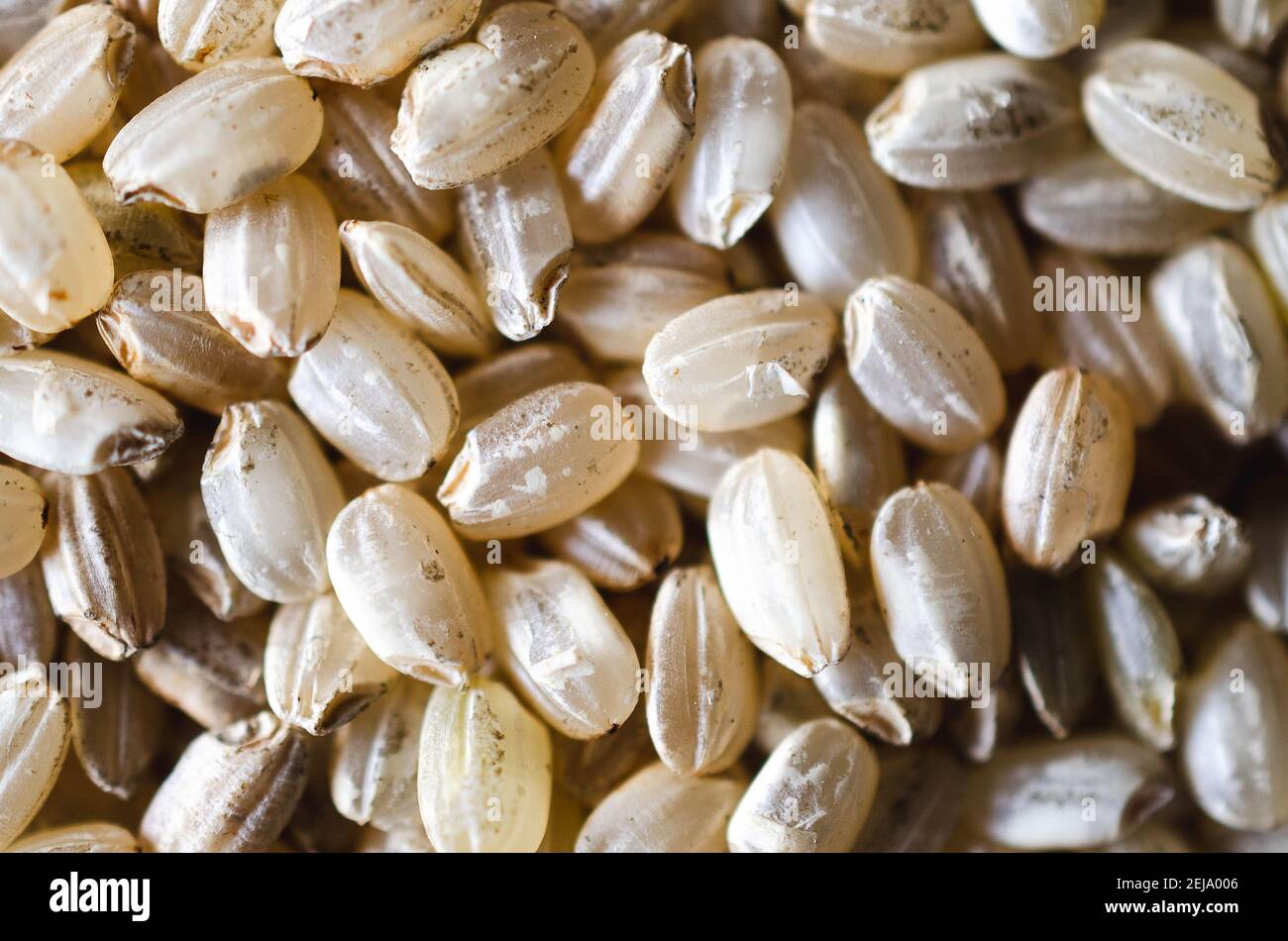 Rice top hi-res stock photography and images - Alamy