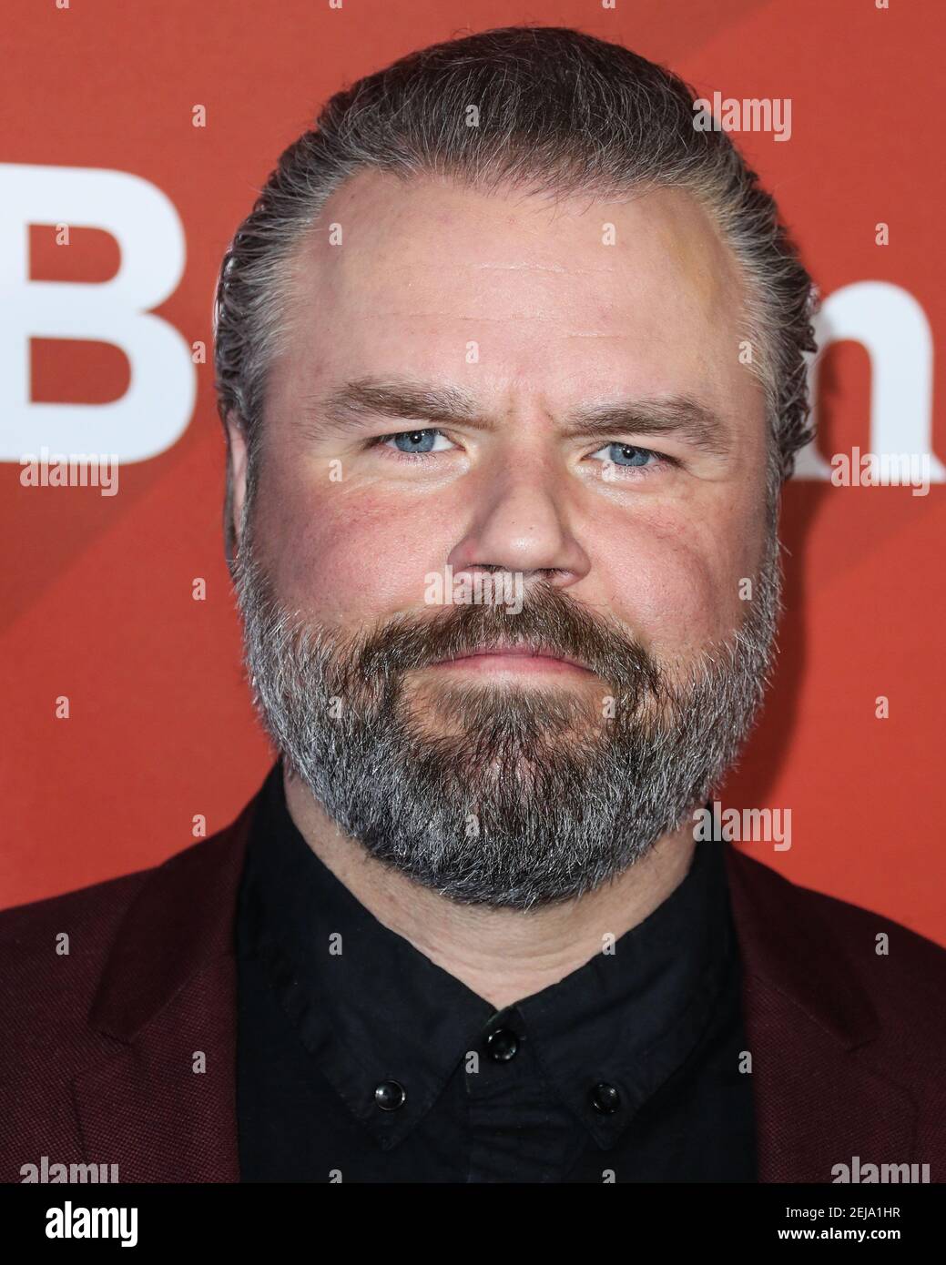 PASADENA, LOS ANGELES, CALIFORNIA, USA - JANUARY 11: Tyler Labine ...