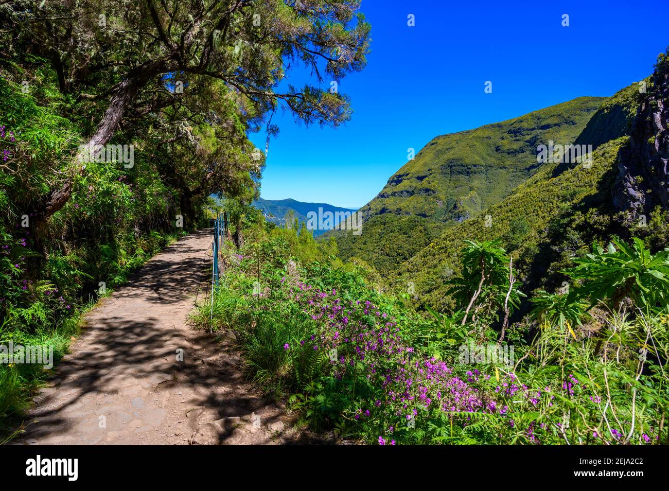 Risco Waterfall - Hiking on Levada trail 25 Fontes in Laurel forest at ...