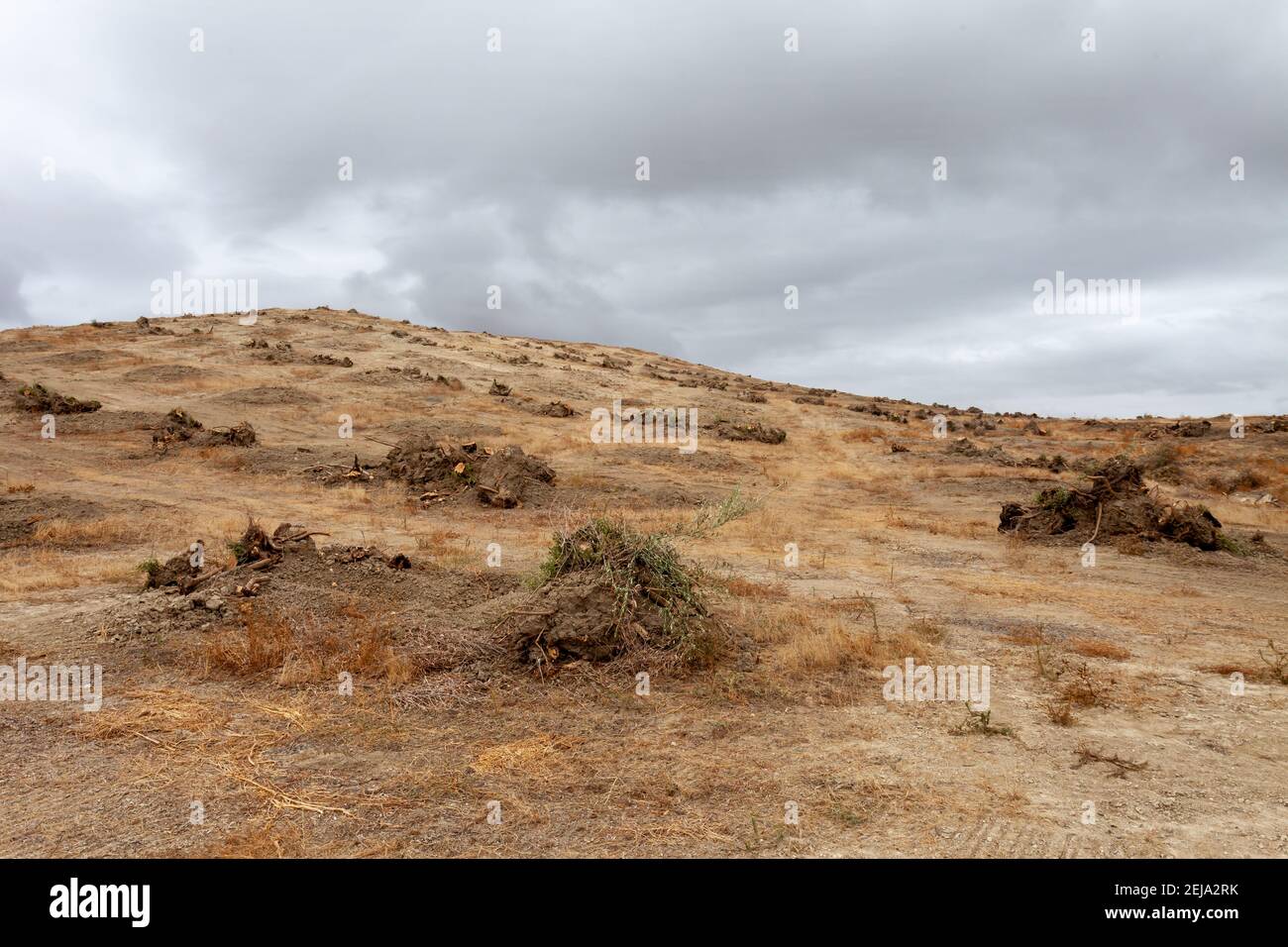 Dry Countryside Landscape Front View Stock Photo - Alamy