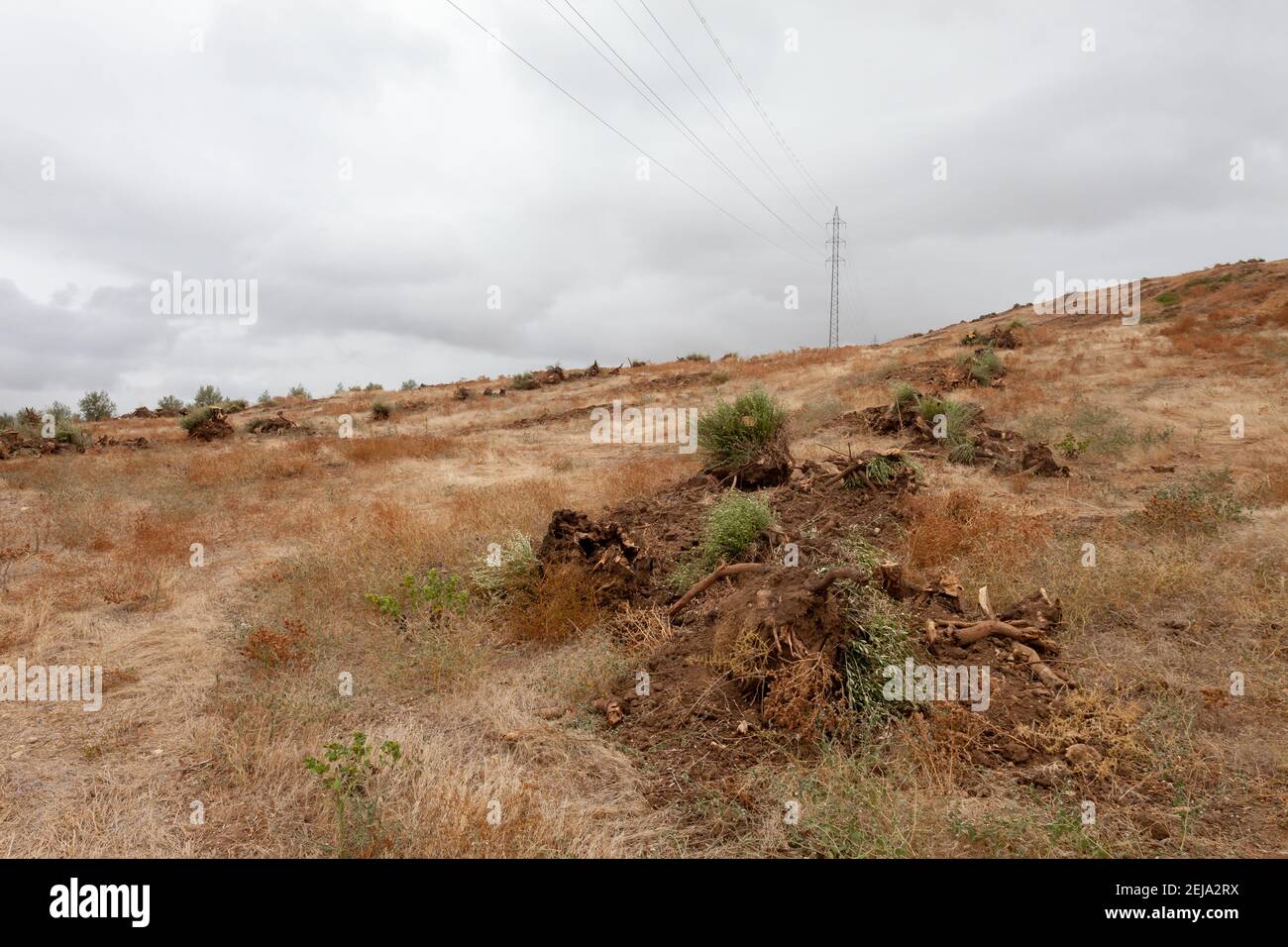 Dry Countryside Landscape Front View Stock Photo - Alamy