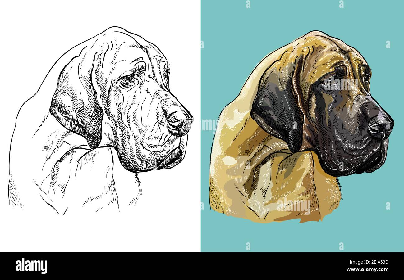 great dane coloring book