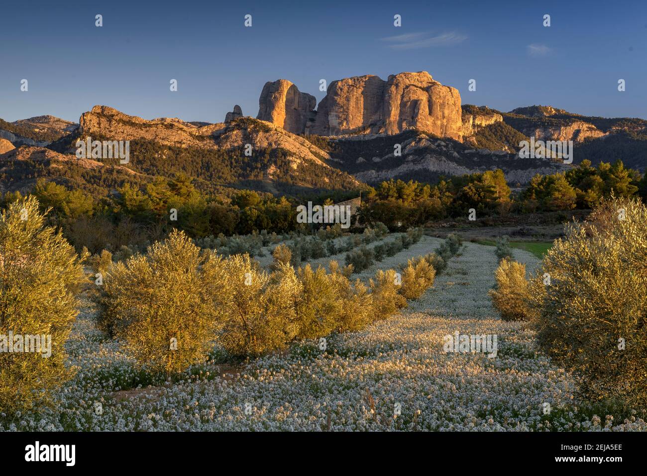 Rocas de benet hi-res stock photography and images - Alamy