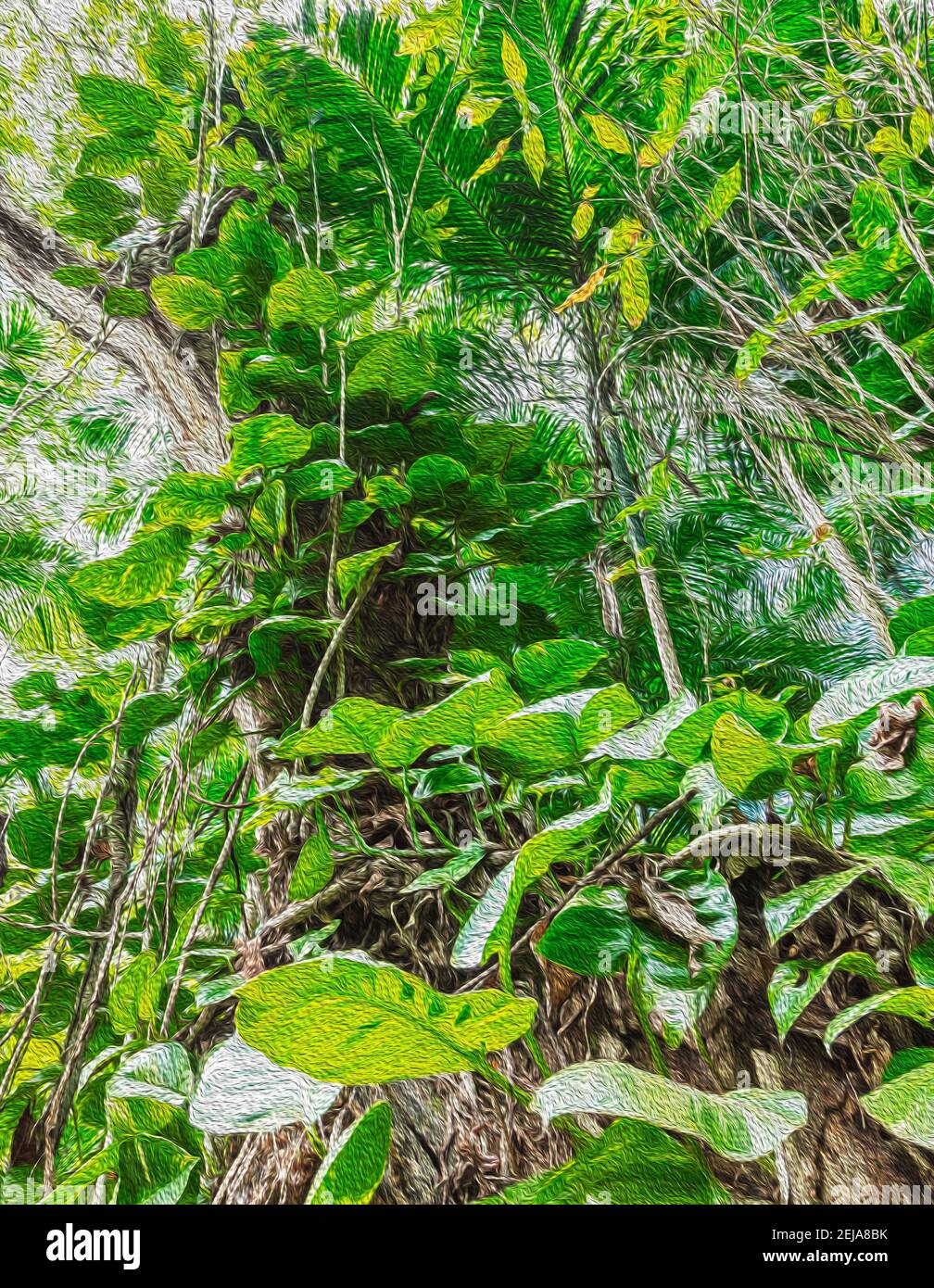 Vertical illustration of a beautiful green jungle Stock Photo - Alamy