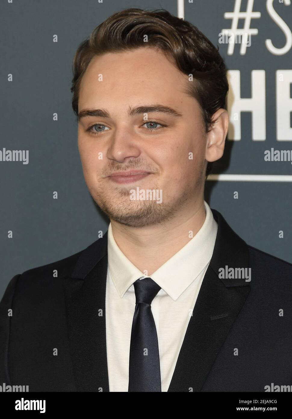 Dean-Charles Chapman arrives at the 25th Annual Critics' Choice Awards ...