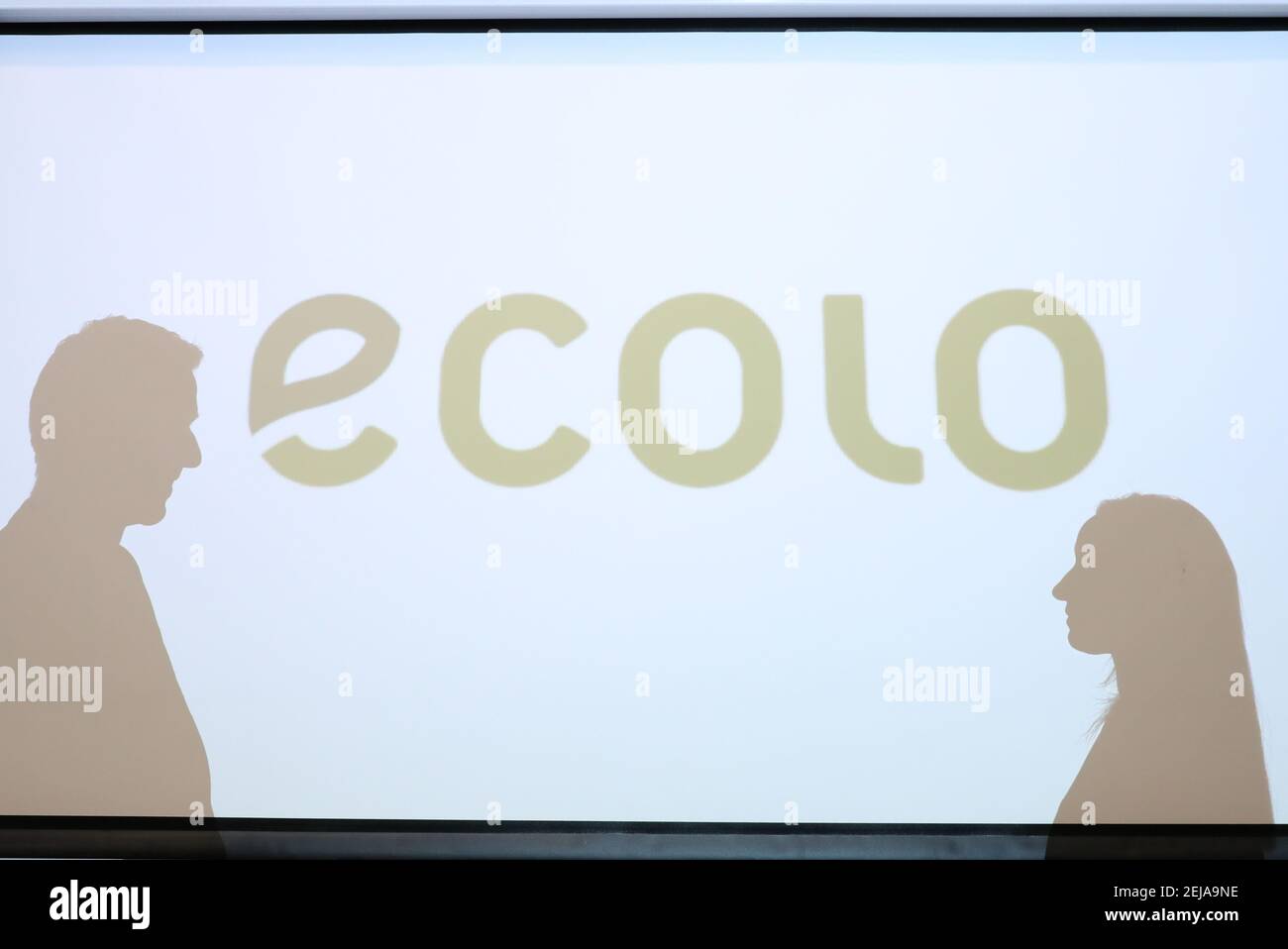 Illustration shows the shaows of Ecolo co-chairman Jean-Marc Nollet and ...