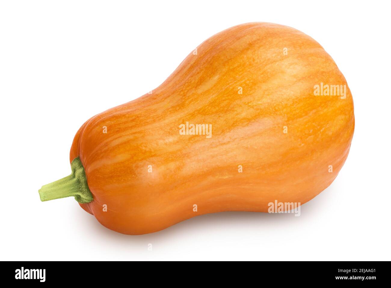butternut squash isolated on white background with clipping path and ...