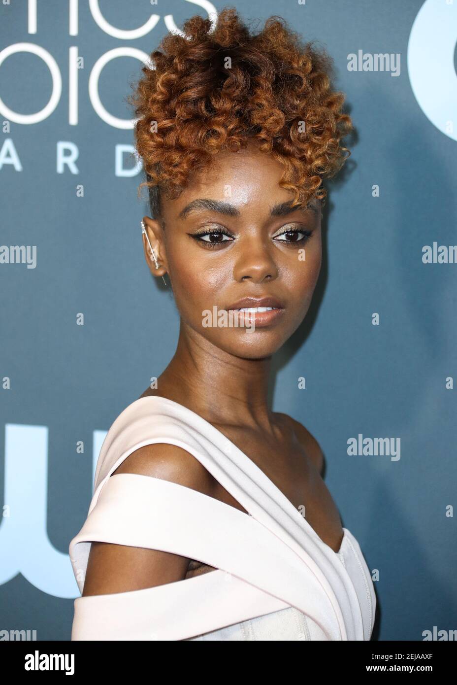 SANTA MONICA, LOS ANGELES, CALIFORNIA, USA - JANUARY 12: Ashleigh ...