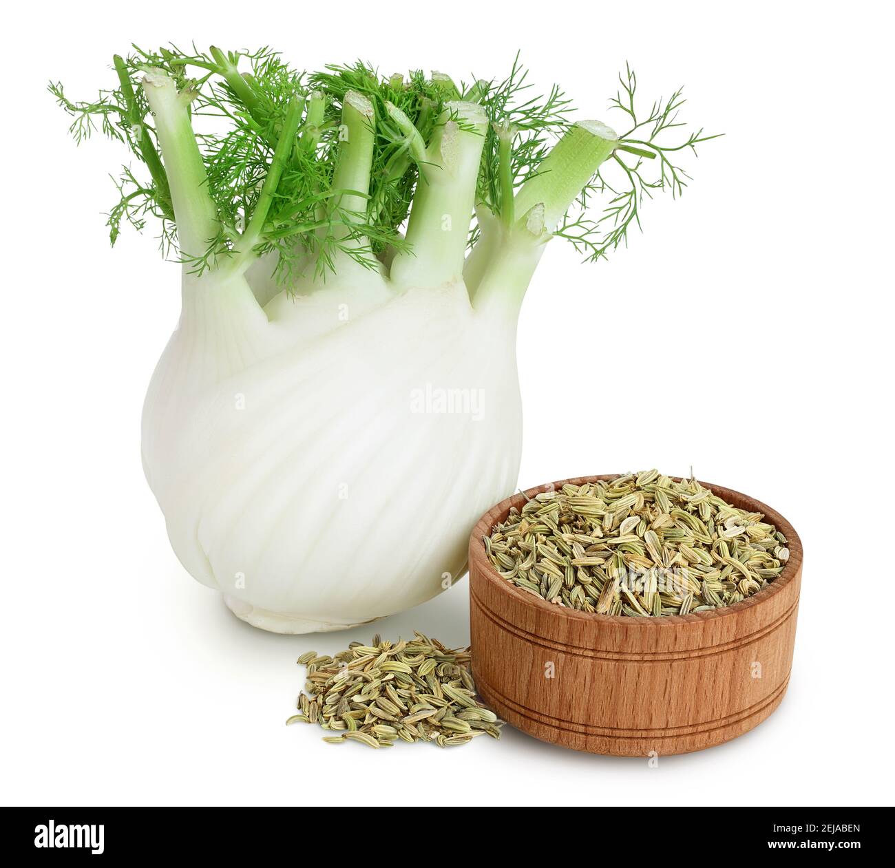 fresh fennel bulb with seed isolated on white background with clipping ...