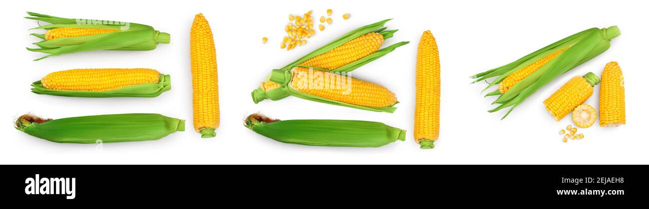 ear of corn isolated on a white background. Clipping path and full ...