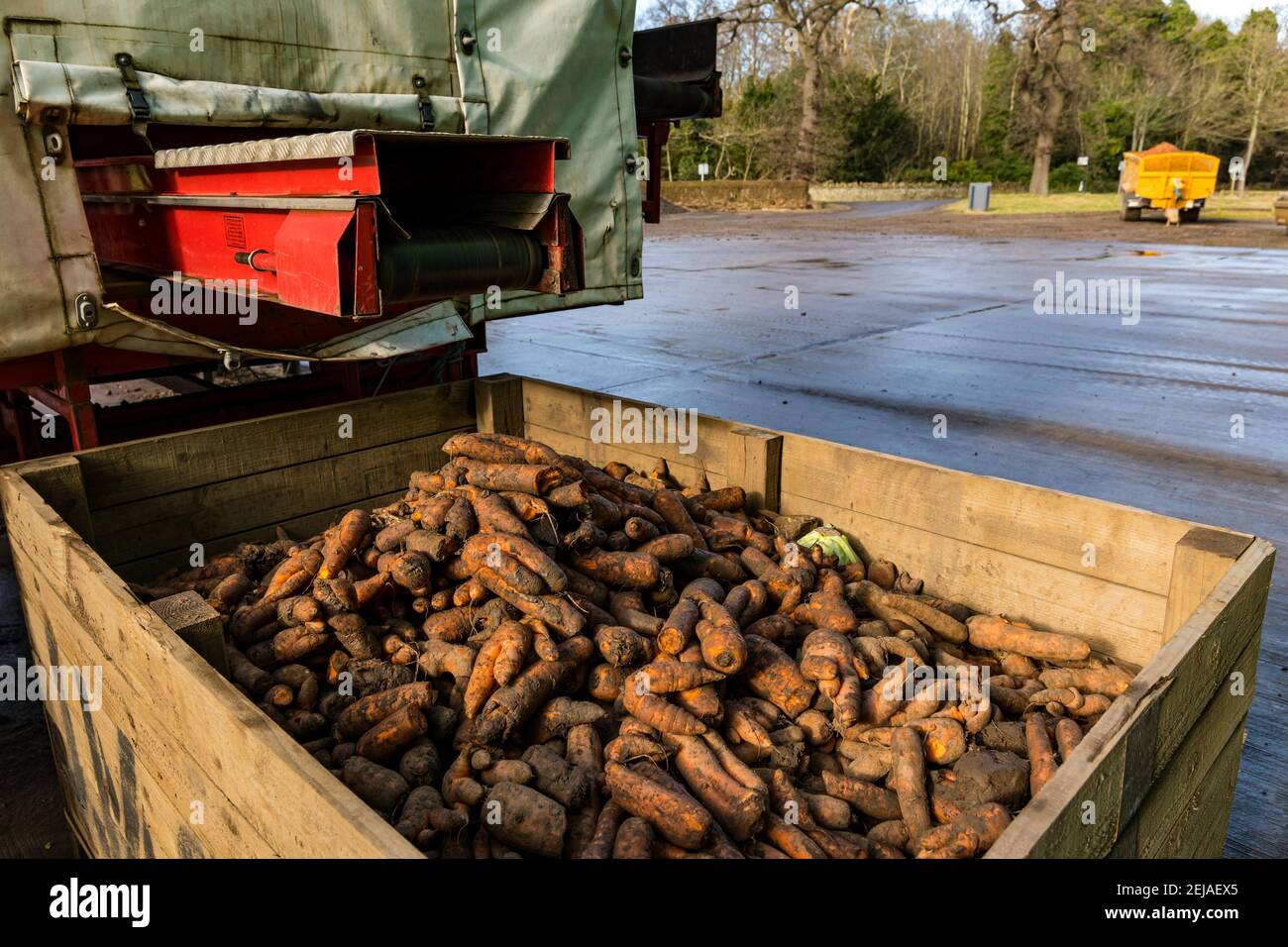 Vegetable Sorting Shed High Resolution Stock Photography and Images - Alamy