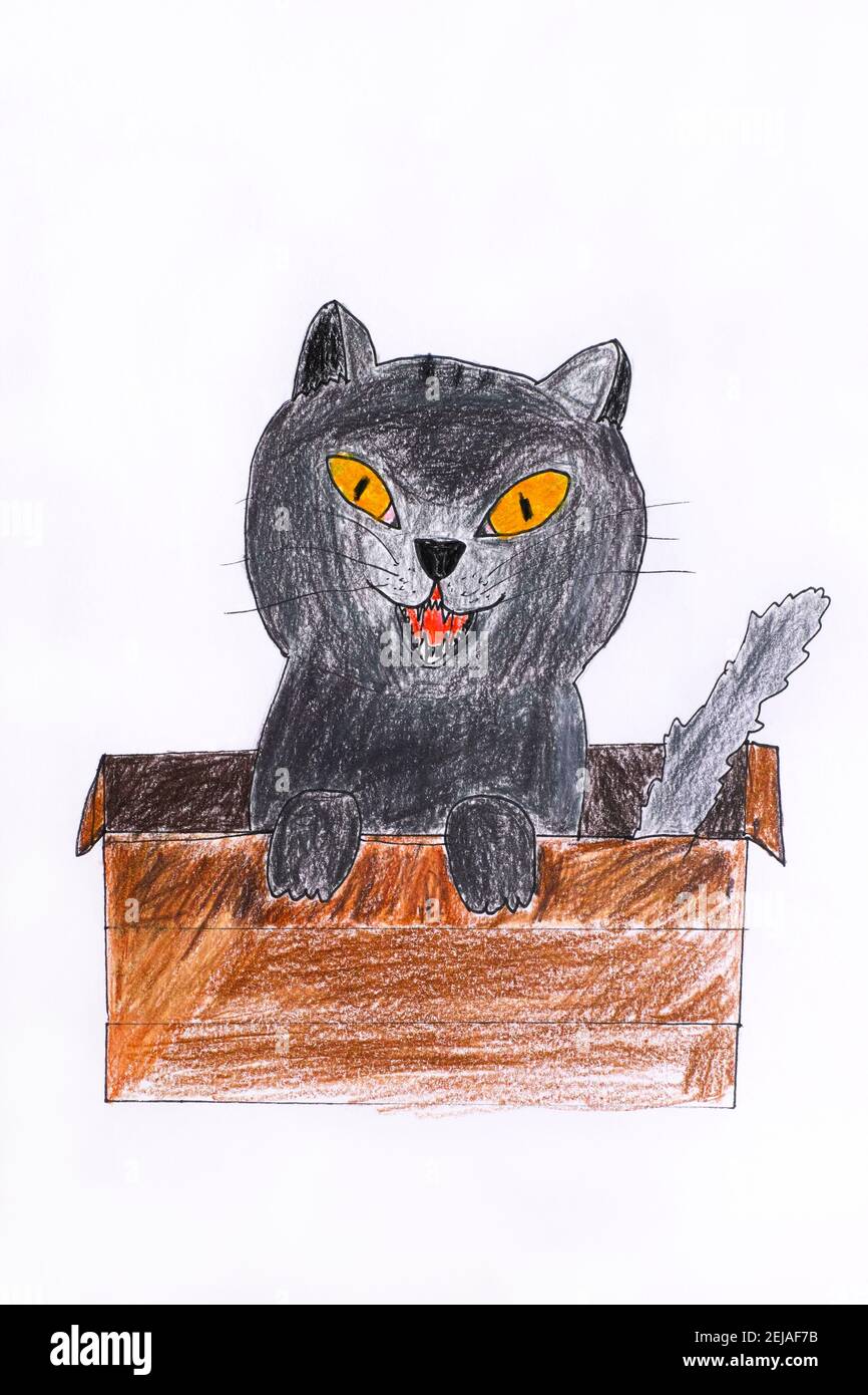 Cat drawing color pencil hi-res stock photography and images - Alamy