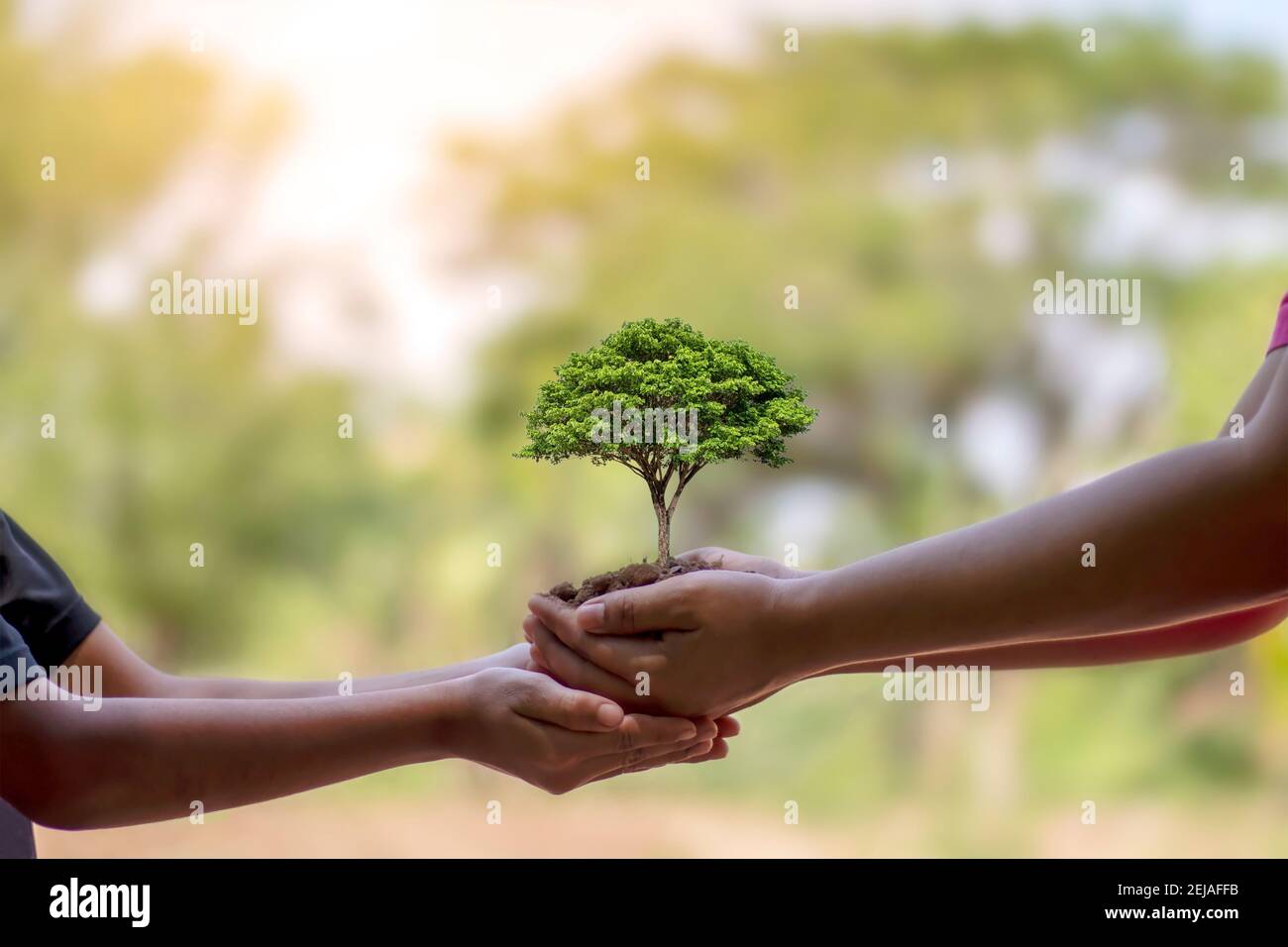 Growing eco hi-res stock photography and images - Alamy