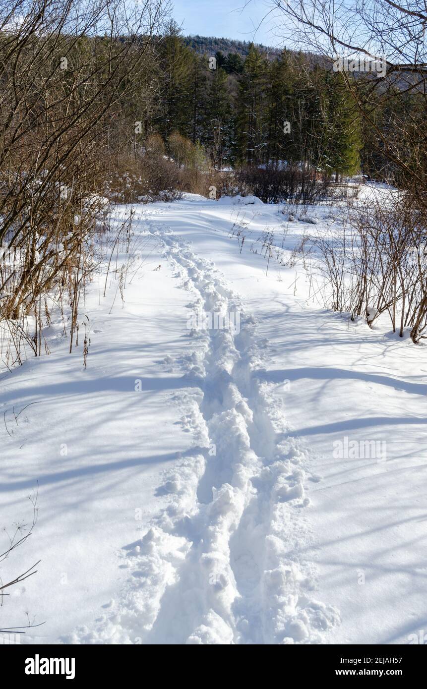 Tracks in a snow covered trail after a blizzard Stock Photo - Alamy