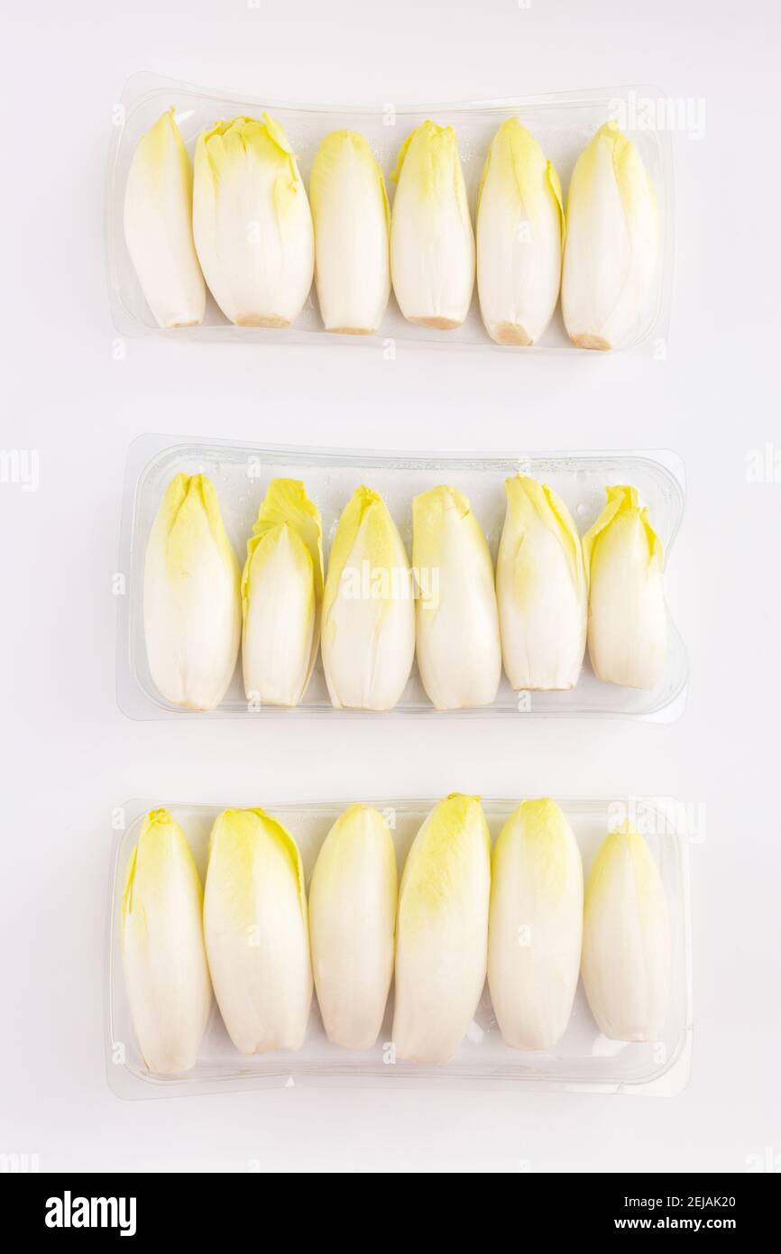 Endive Chicory Cichorium Endivia High Resolution Stock Photography and ...