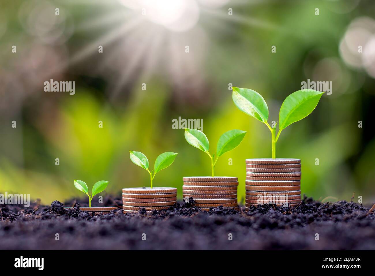 Grow early on coins and soil ideas for saving money, financial growth ...