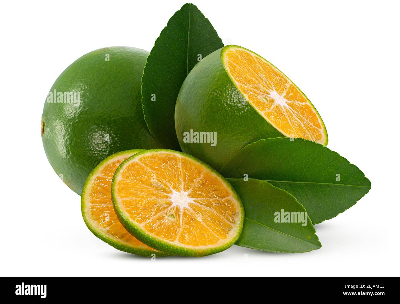 Philippine lemon Cut Out Stock Images & Pictures - Alamy