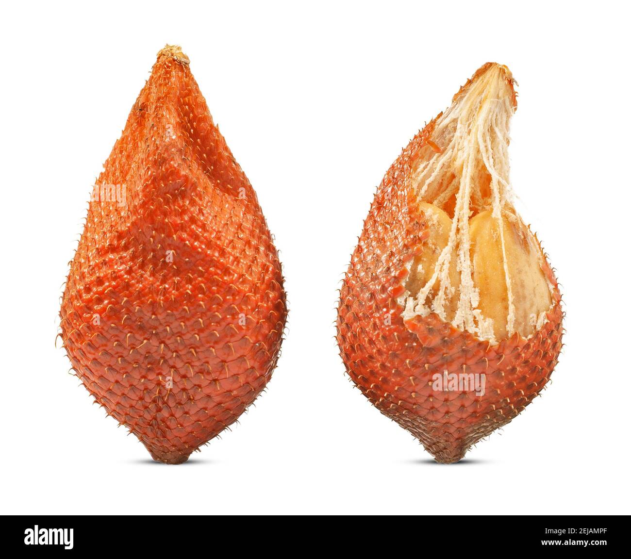 salacca zalacca isolated on white background Stock Photo - Alamy