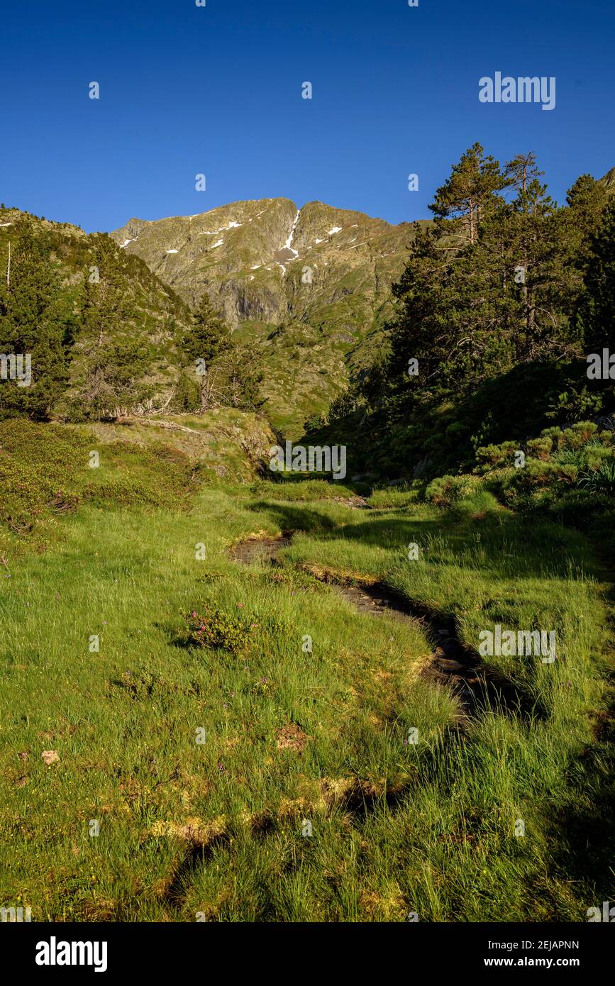 Mont-roig summit views from the access path through the valley (Alt ...