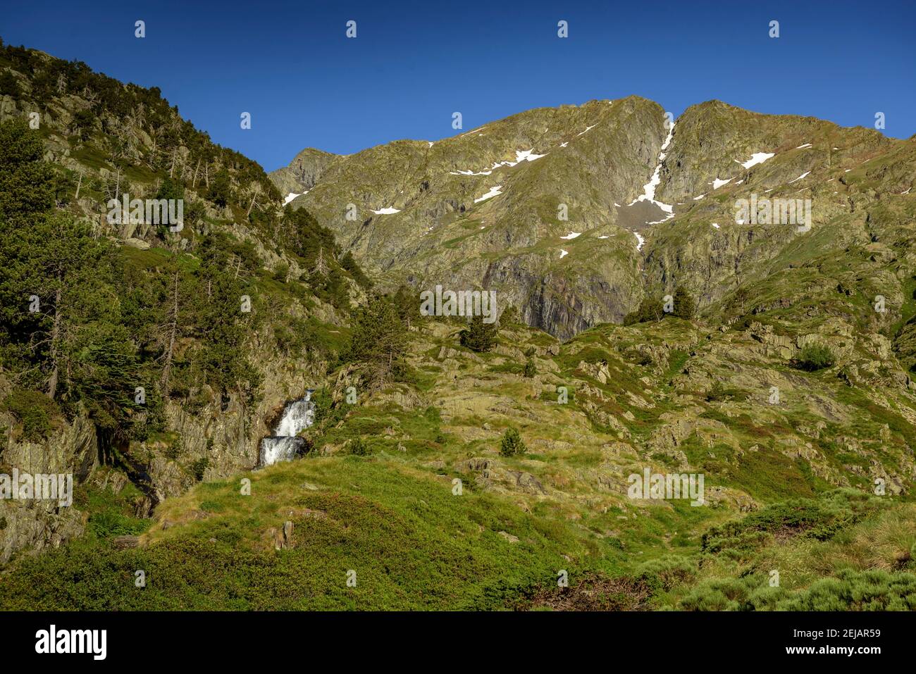 Parque natural monte verde hi-res stock photography and images - Alamy