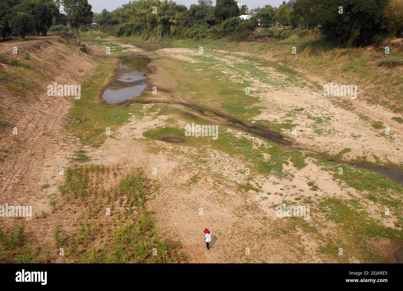 A villager walks around a dry Yom River during a drought season (now ...