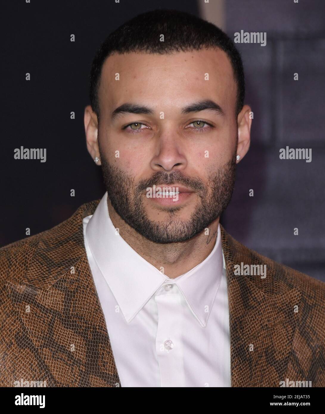 Don Benjamin arrives at the BAD BOYS FOR LIFE Los Angeles Premiere held ...