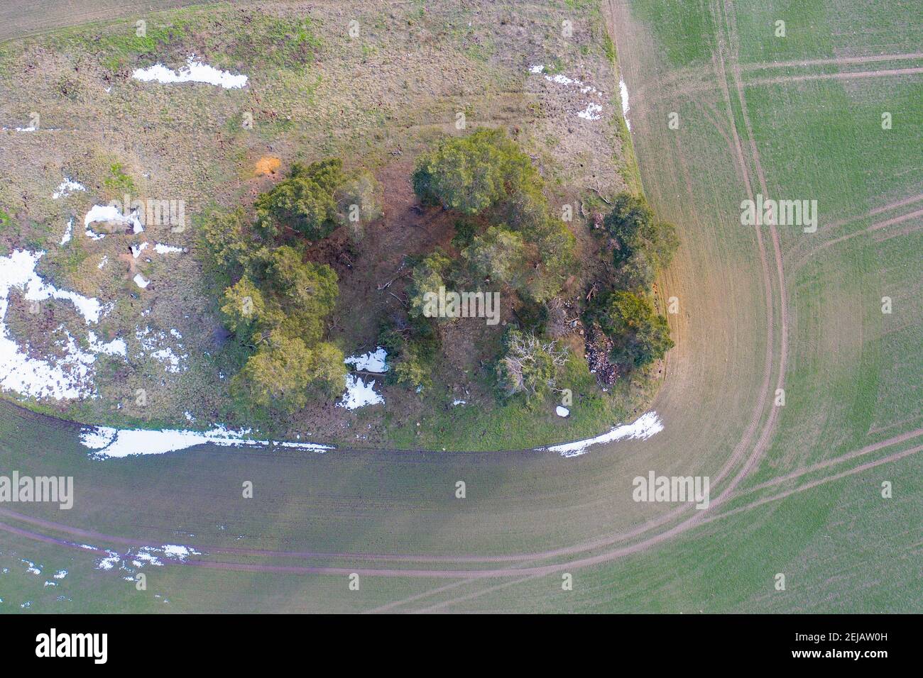 Field by thale hi-res stock photography and images - Alamy