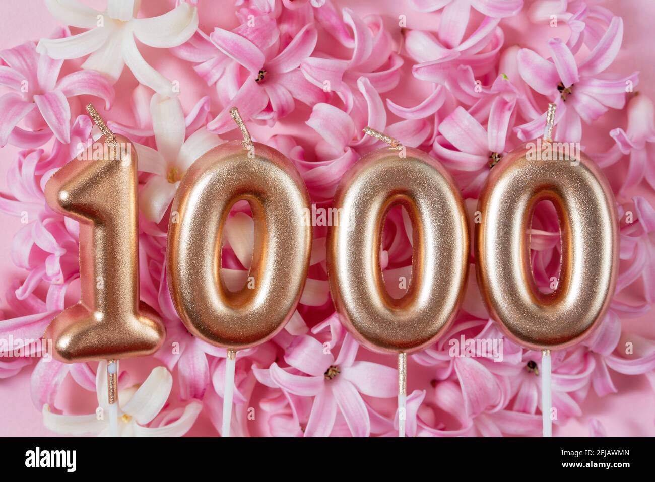 Pink 1000 Images