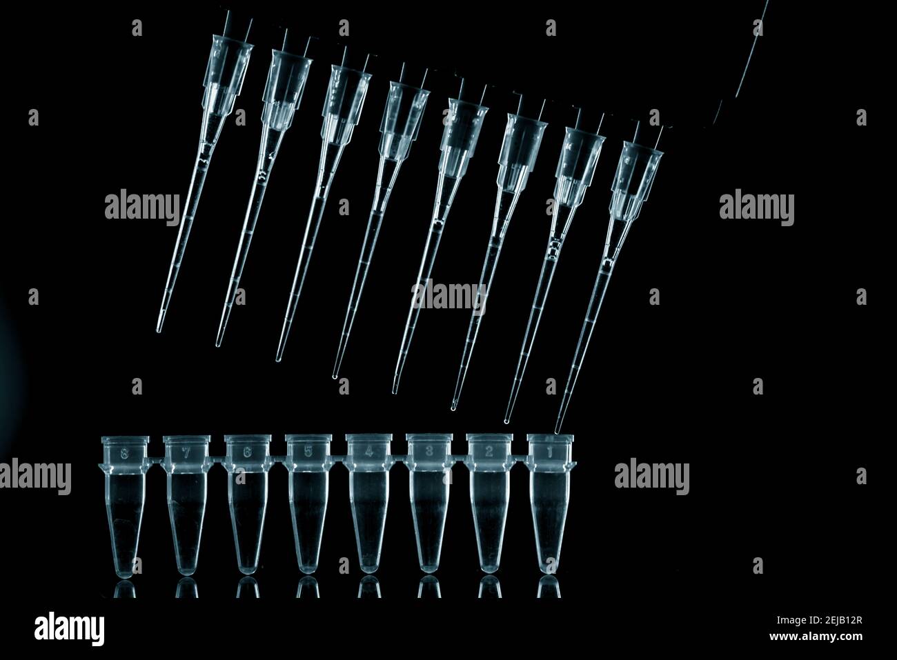 PCR Tube Strips Well and Pipette in genetic research laboratory close ...