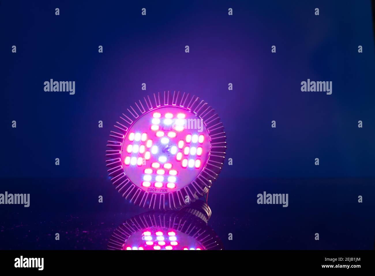 Led artificial light plants hi-res stock photography and images - Alamy