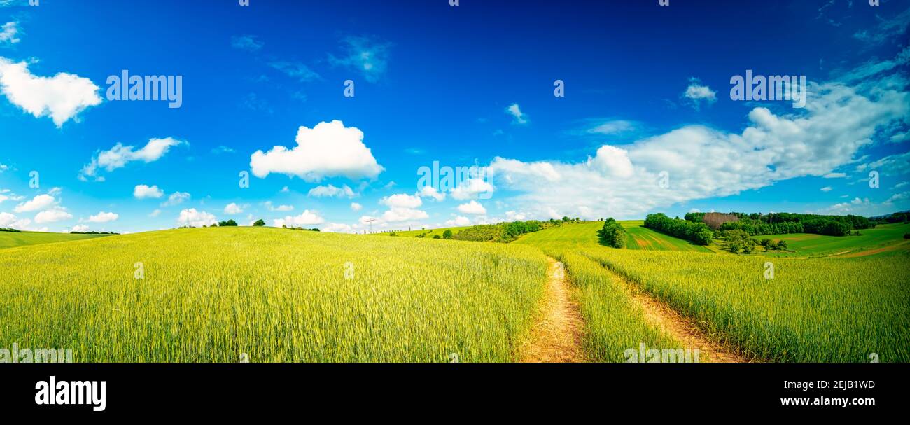 Summer field panorama on hi-res stock photography and images - Alamy