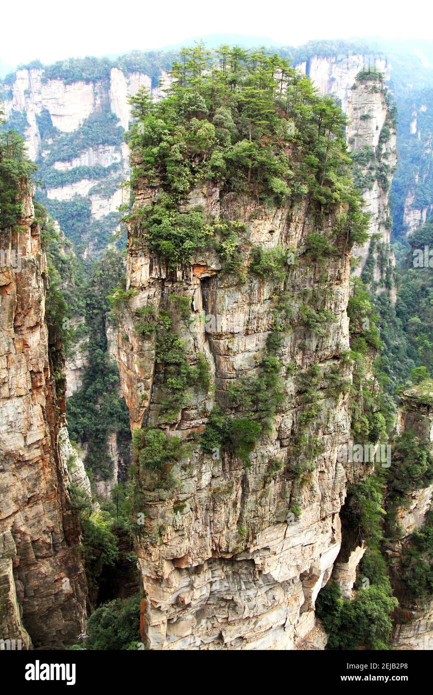 Hunan,CHINA-With the popularity of the "avatar" sequel, the alien scene ...