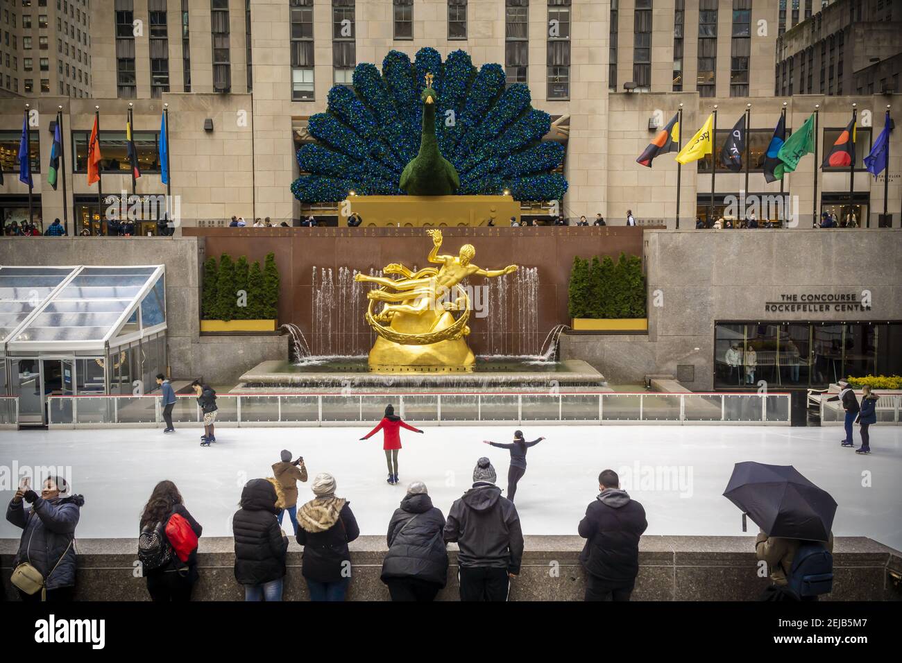 A giant topiary Peacock is displayed in Rockefeller Plaza in New York ...