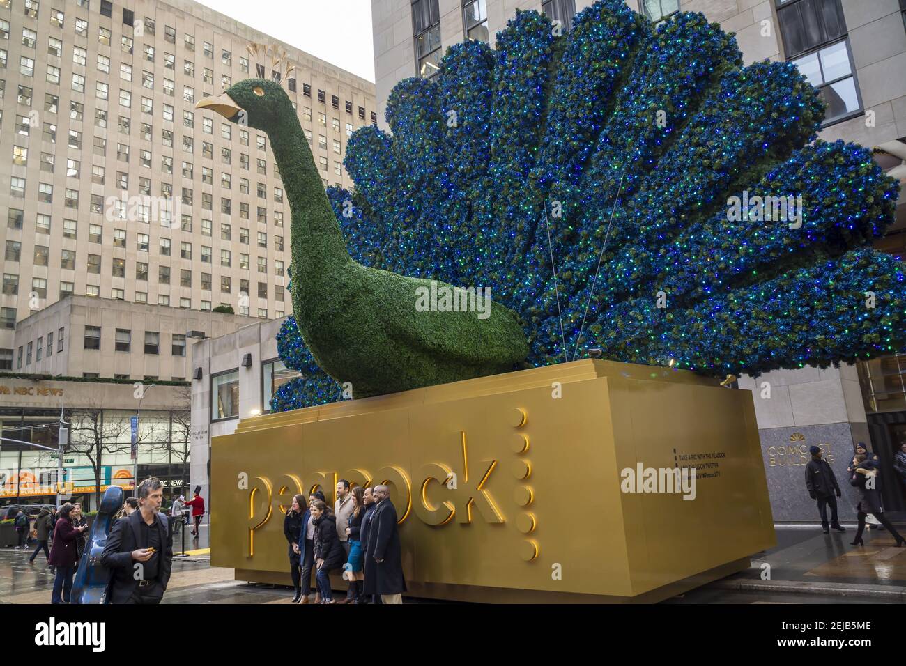 A giant topiary Peacock is displayed in Rockefeller Plaza in New York ...
