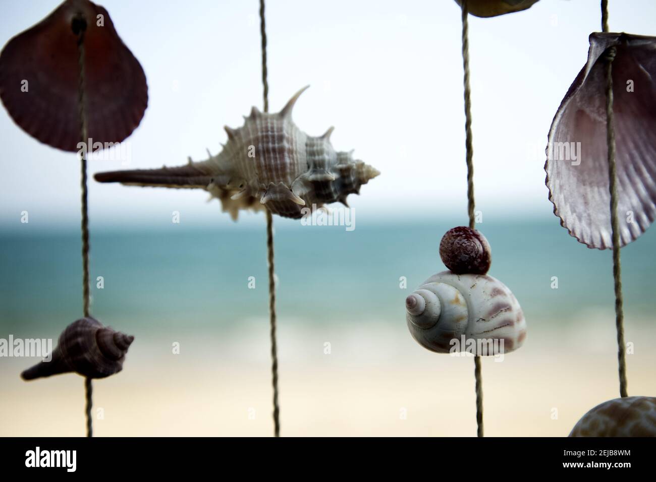 Decorative seashells on rope lines at the beach in Phetchaburi ...
