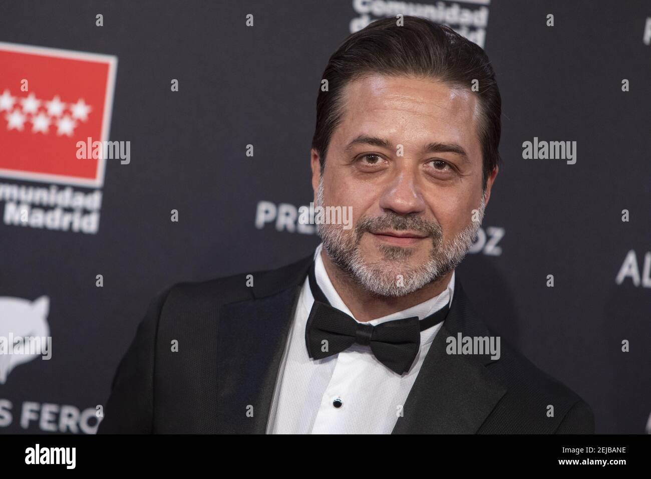 MADRID, SPAIN - JANUARY 16: Actor Enrique Arce attends Feroz awards ...